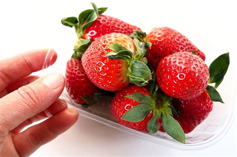 흰색 배경에 플라스틱 패키지에 잘 익은 딸기 고객에게 판매할 용기에 맛있는 신선한 베리 신선한 음식을 유지합니다 건강한 음식 딸기를 들고 있는 여자의 손 건강한 식생활에