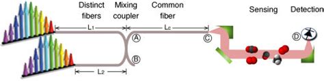 Typical Dual Comb Spectroscopy Setup Where Both Interferometer Arms