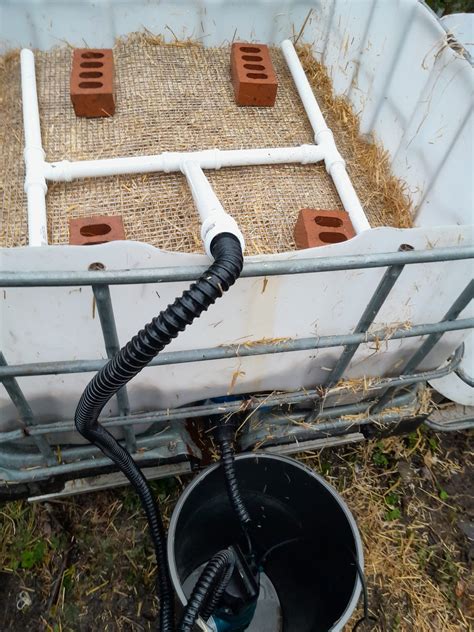 Lime Pasteurisation Bulk Processing Ibc Mycogeneration