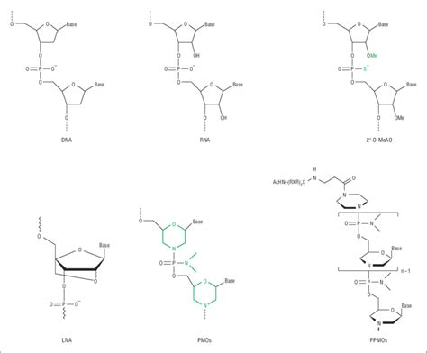 Comparison Of Chemistries Used For The Exon Skipping Approach Examples