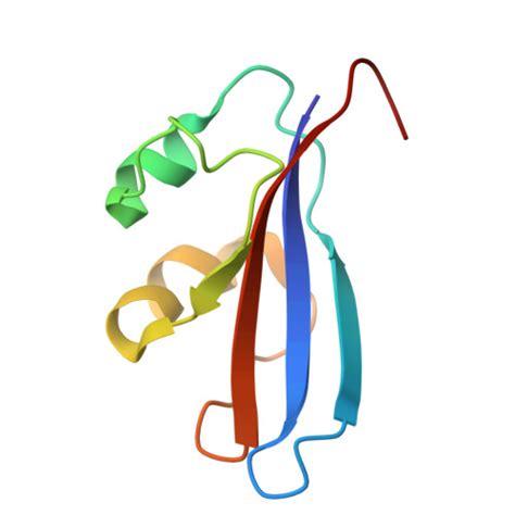 Rcsb Pdb 2b5u Crystal Structure Of Colicin E3 V206c Mutant In Complex With Its Immunity Protein