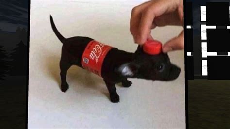 Accountname Accountname512