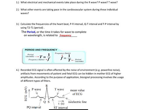 Solved 1 What Electrical And Mechanical Events Take Place Chegg Com