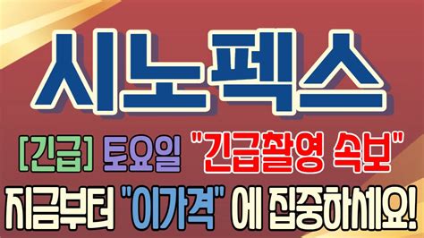 [시노펙스][주식][시노펙스 주가전망] 025320 시노펙스주가전망 시노펙스무상증자 시노펙스혈액투석기 시노펙스주가 시노펙스전망