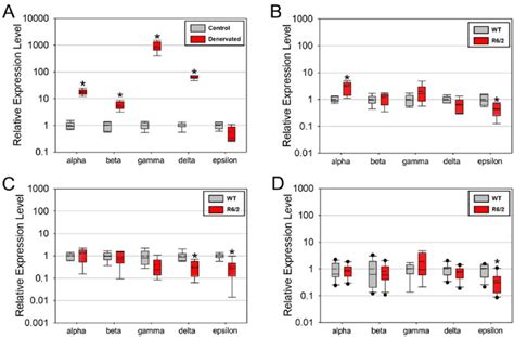 Relative Expression Levels As Determined By Real Time Rt Pcr For The Download Scientific