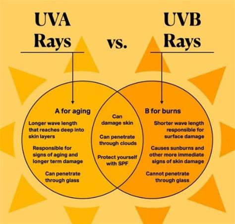What Is The Difference Between UVB And UVA Rays