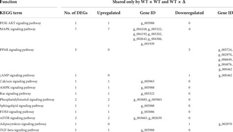 signaling involved degs that do not respond to mating in ssubc2 null