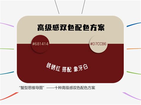 创意不打烊 设计师必备 高级感配色方案蟹型布局 木豆 站酷ZCOOL