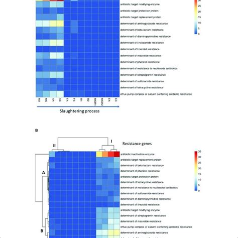 Heatmap Showing The Distribution Of Antibiotic Resistance Genes
