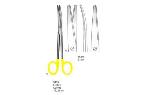 Lexer Windsor Dental