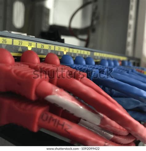 Network Switch Ethernet Cables Rack Cabinetutp Stock Photo Shutterstock