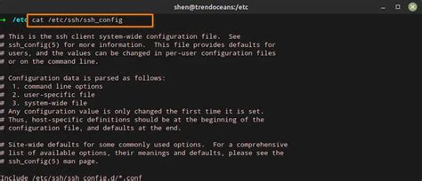 Lolcat Make Your Terminal Output Colourful TREND OCEANS