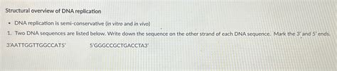 Solved Structural Overview Of DNA Replication DNA Chegg