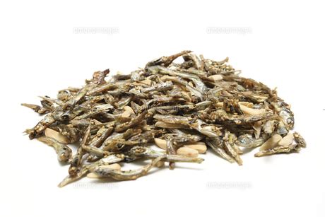 Fyi Amanaimages Plus