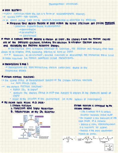 Intro To Biology Photosynthesis Continued Deprecated Api Usage The