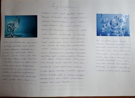 პროექტი დედამიწის მცველები ფოტო ვიდეო მასალა