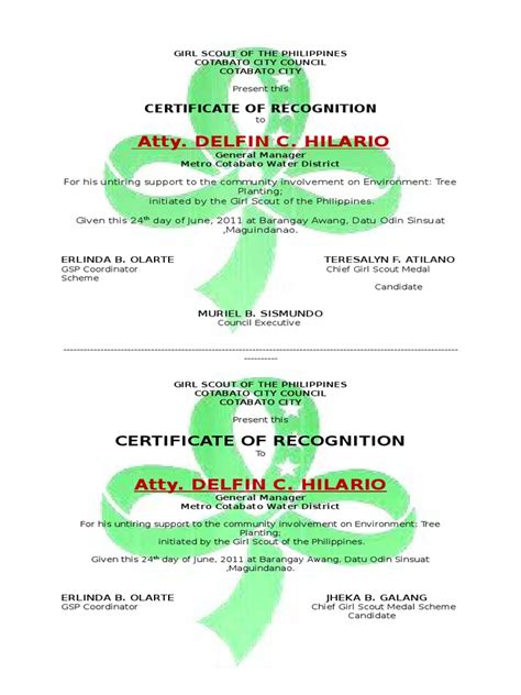 Gsp Certificate Recog Pdf Girl Guiding And Girl Scouting Scouting