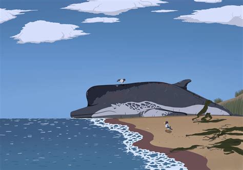 A Beached Zygophyseter By Me R Paleontology