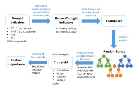 Schematic Representation Of The Steps Involved To Build Rf Models And