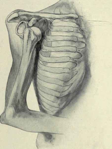 Anterior Dislocation Of The Shoulder