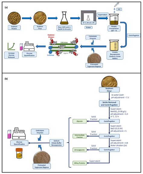 In House Extracted Soybean Protein Can Reduce The Enzyme Dosage In Biomass Saccharification