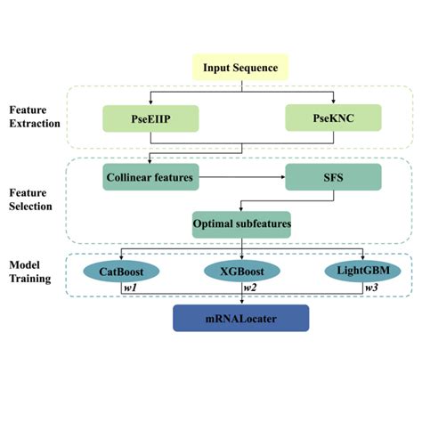 Mrnalocater Enhance The Prediction Accuracy Of Eukaryotic Mrna