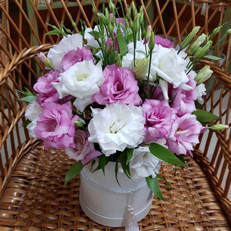 Эустома карликовая (58 фото) » НА ДАЧЕ ФОТО