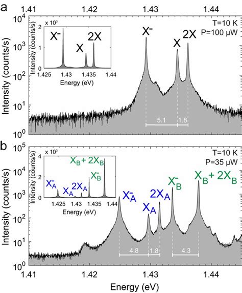 Deterministic Radiative Coupling Of Two Semiconductor Quantum Dots To The Optical Mode Of A