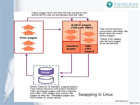Swapping Computer Science
