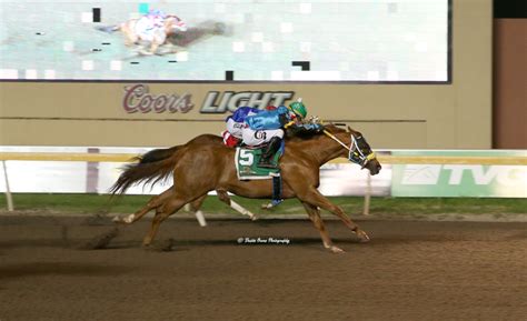 Alliekat Dynasty Gets First Stakes Win Taking Fl Lady Bug Under Jockey