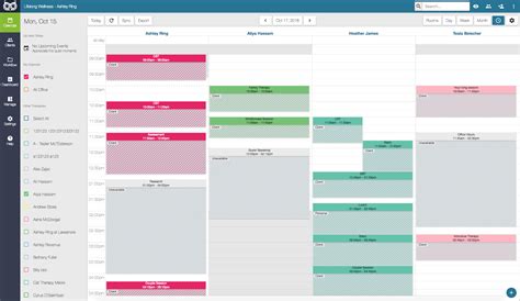 Custom Availability Overview Owlpracticesuite