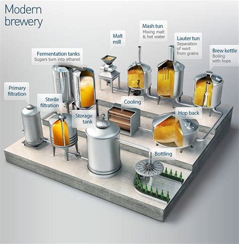 Infographic Modern Brewery Bier Brauen Bierbrauen Daheim Bier