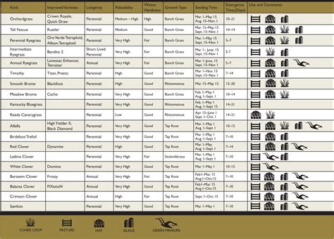 Master Forage Tactics Essential Strategies For Successful Harvests GO Seed