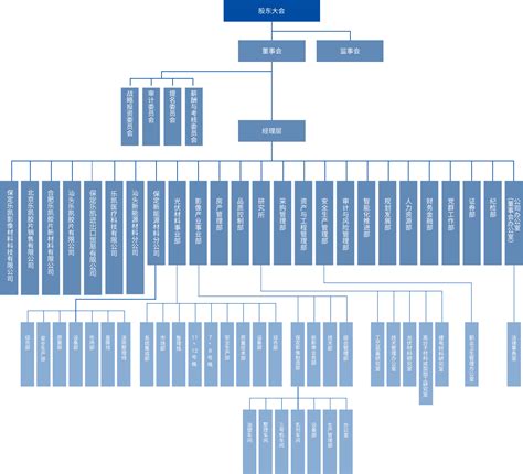 公司概况乐凯胶片股份有限公司