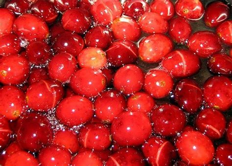 20 პროდუქტი რომელიც გაწმენდს არტერიებს და გააძლიერებს გულის კუნთს