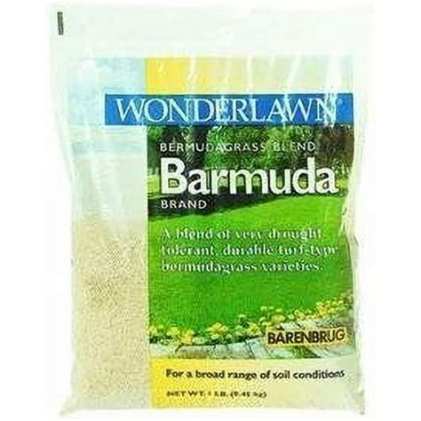 Bermuda Lawn Grass