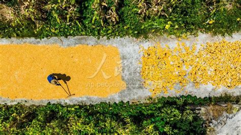 重庆梁平天气好 晾晒忙 人民图片网
