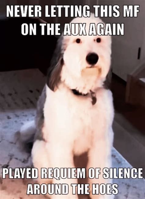 Re Zero Sex 480p Working R Okbuddybaka