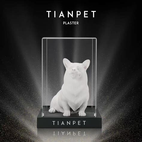 成都宠物死了怎么办 宠物骨灰石膏雕塑 故事延续永不分离 TIANPET 知乎