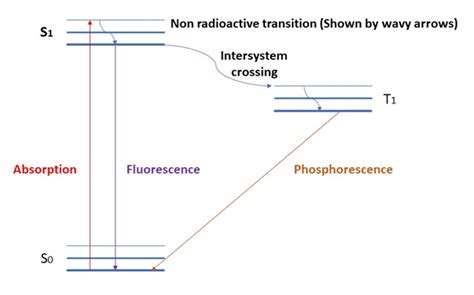 Topics In Organic Chemistry Organic Photochemistry Key Concepts And Applications