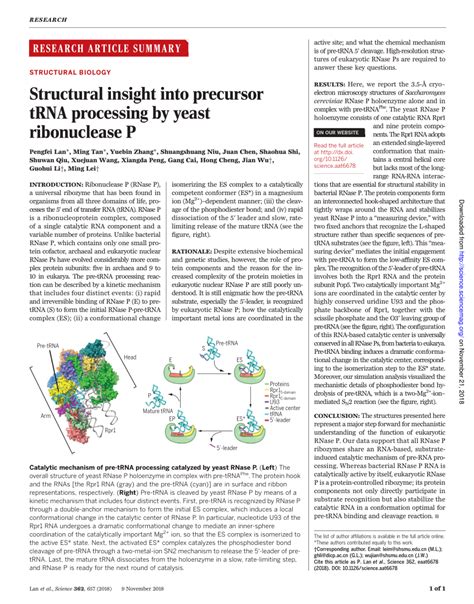 Pdf Structural Insight Into Precursor Trna Processing By Yeast