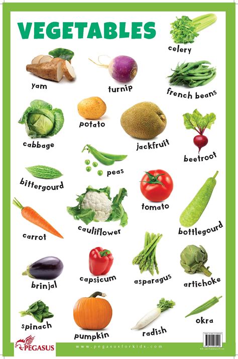 Vegetables Educational Chart 9788131938928 Books