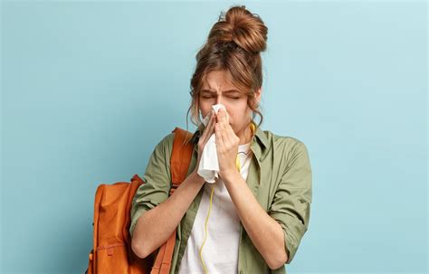 Синусит - Курсы - IQ Provision