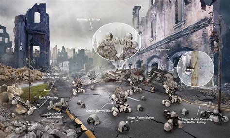 Robotic Snail Swarm Work Together To Move Across Challenging Terrain