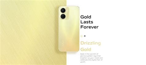 Vivo Y Gb Ram Gb Rom Dual Sim Vivo Smartphones