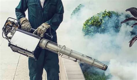 Choosing The Right Fumigation Company A Comprehensive Guide