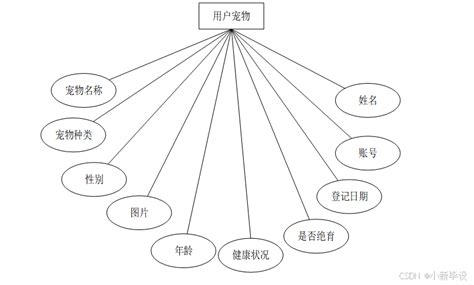 计算机毕业设计springboot宠物服务一体化系统的设计与实现 基于spring Boot的宠物服务综合管理系统开发与实践 Spring