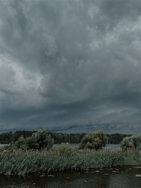 갈대 경치 경치가 좋은 고요한 구름 구름 경치 구름이 모인다 그레이 극단적 인 날씨 나무 날씨 녹지 농촌의 뇌우 대기의 드라마틱한 먹구름