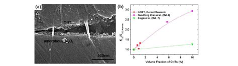 A Cross Sectional Sem Image At Fracture Surface Showing Bridging