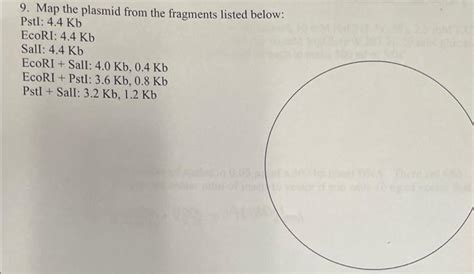 Solved 9 Map The Plasmid From The Fragments Listed Below Chegg Com